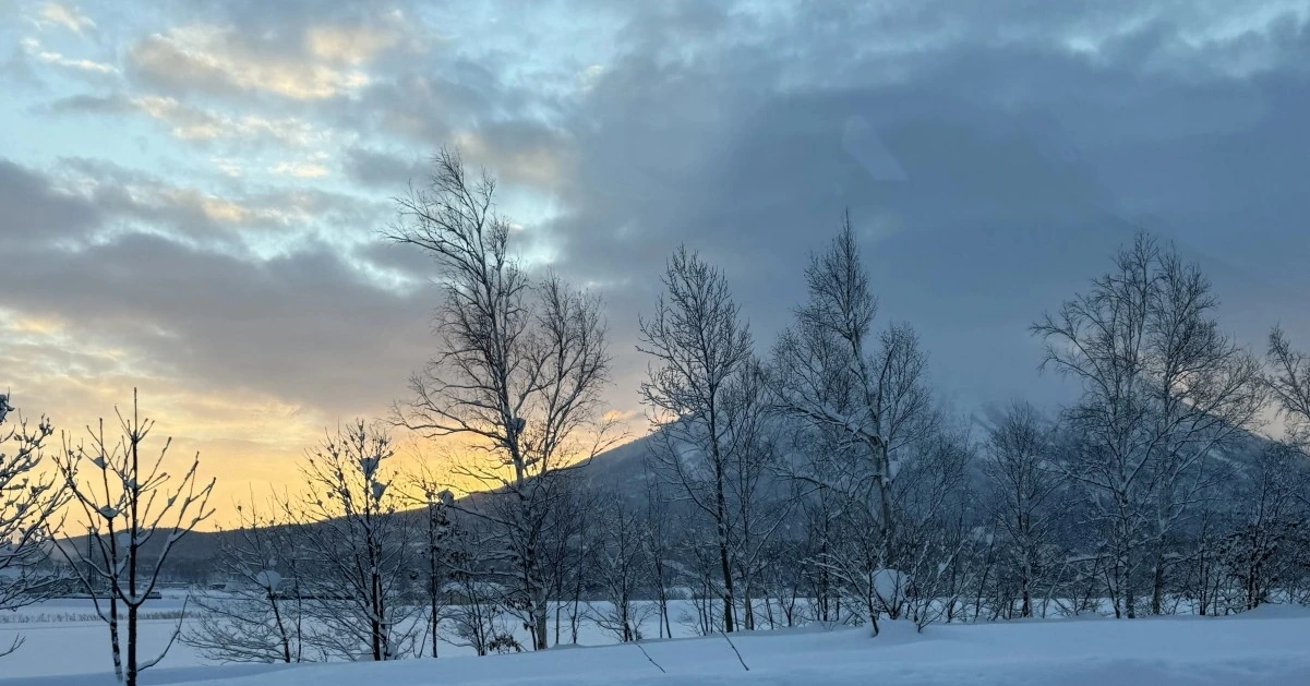 Niseko Gates | Freeride Guides & Gate Information